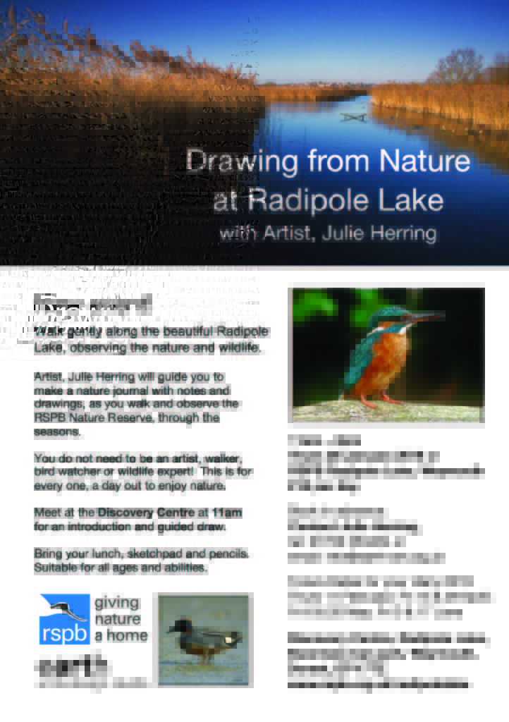 RSPB Radipole poster A4 Web Version - earth-art
